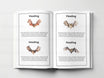 Watercolor Bat Clipart, Halloween Bat PNG, Bat Illustration – Clipartset