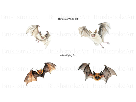 Watercolor Bat Clipart, Halloween Bat PNG, Bat Illustration – Clipartset