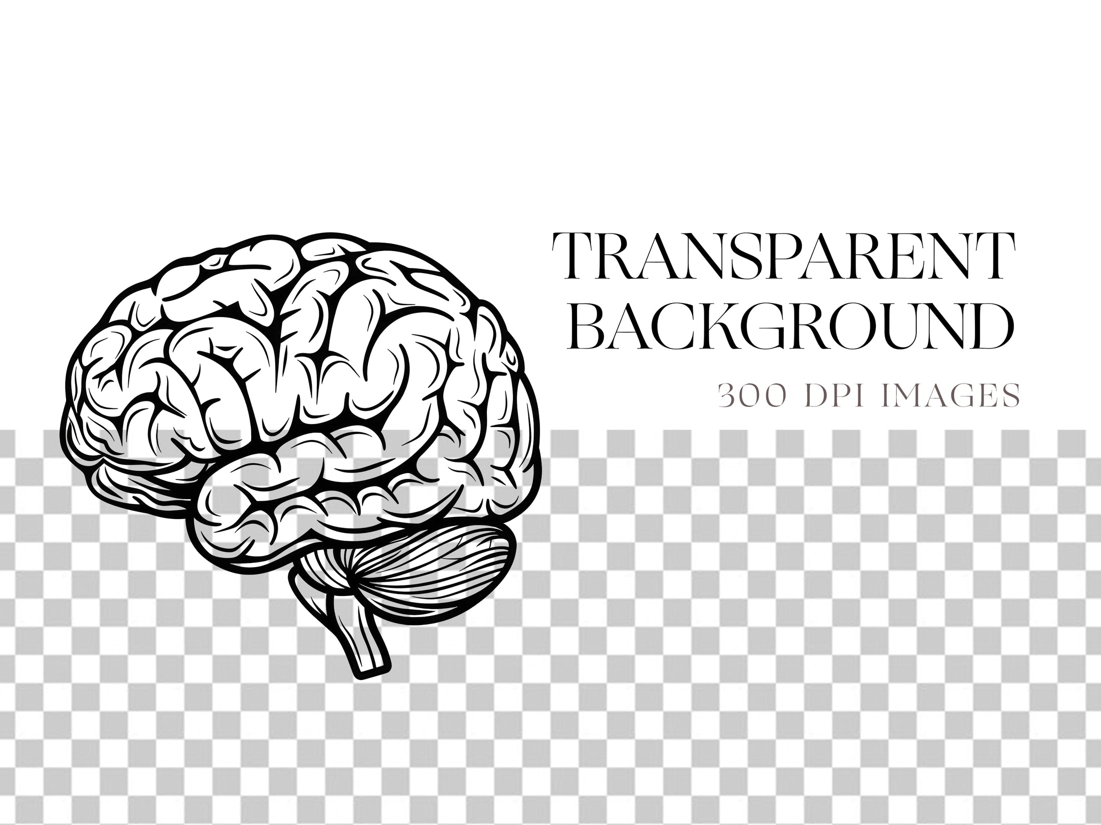 Brain Silhouette Clipart, Brain Anatomy, Human Brain PNG – Clipartset