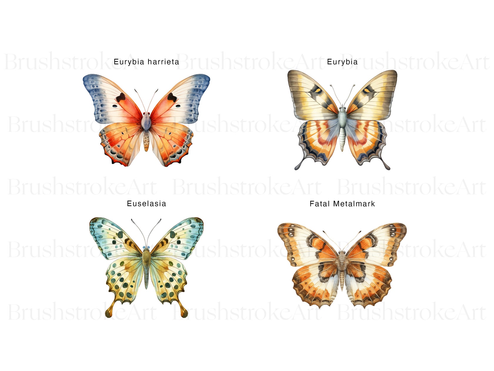Metalmarks Butterfly Clipart, Vintage Butterfly Families – Clipartset