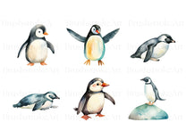 Watercolor Penguin Clipart, Baby Penguin PNG, Arctic Penguin – Clipartset