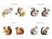Tree Squirrel Clipart, Gray Squirrel PNG, Squirrel Nursery – Clipartset