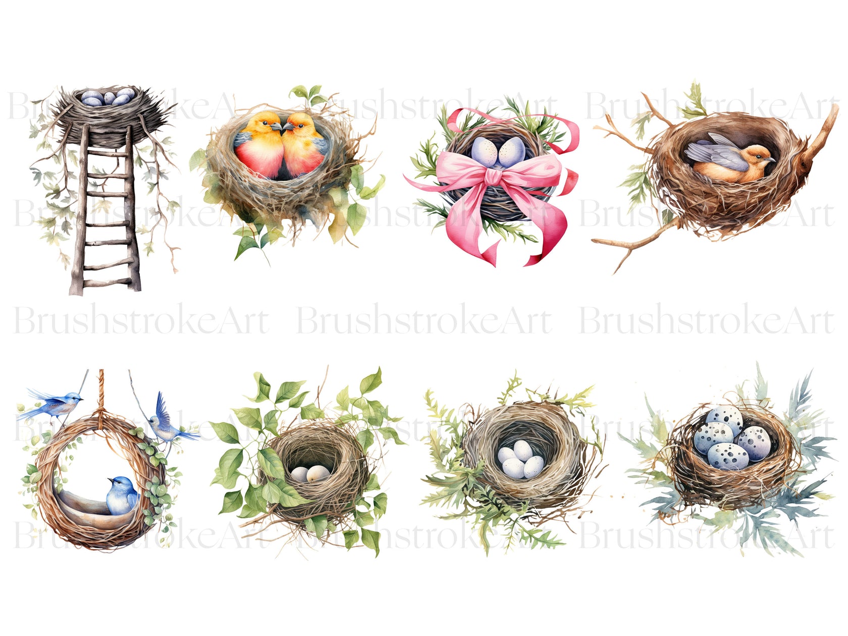 40 Watercolor Bird Nest Clipart| Birds PNG| Eggs in a Nest| Floral Nes ...
