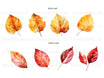 Fall Leaves Clipart, Oak Leaves, Autumn, Maple Leaf PNG – Clipartset