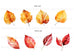 Fall Leaves Clipart, Oak Leaves, Autumn, Maple Leaf PNG – Clipartset