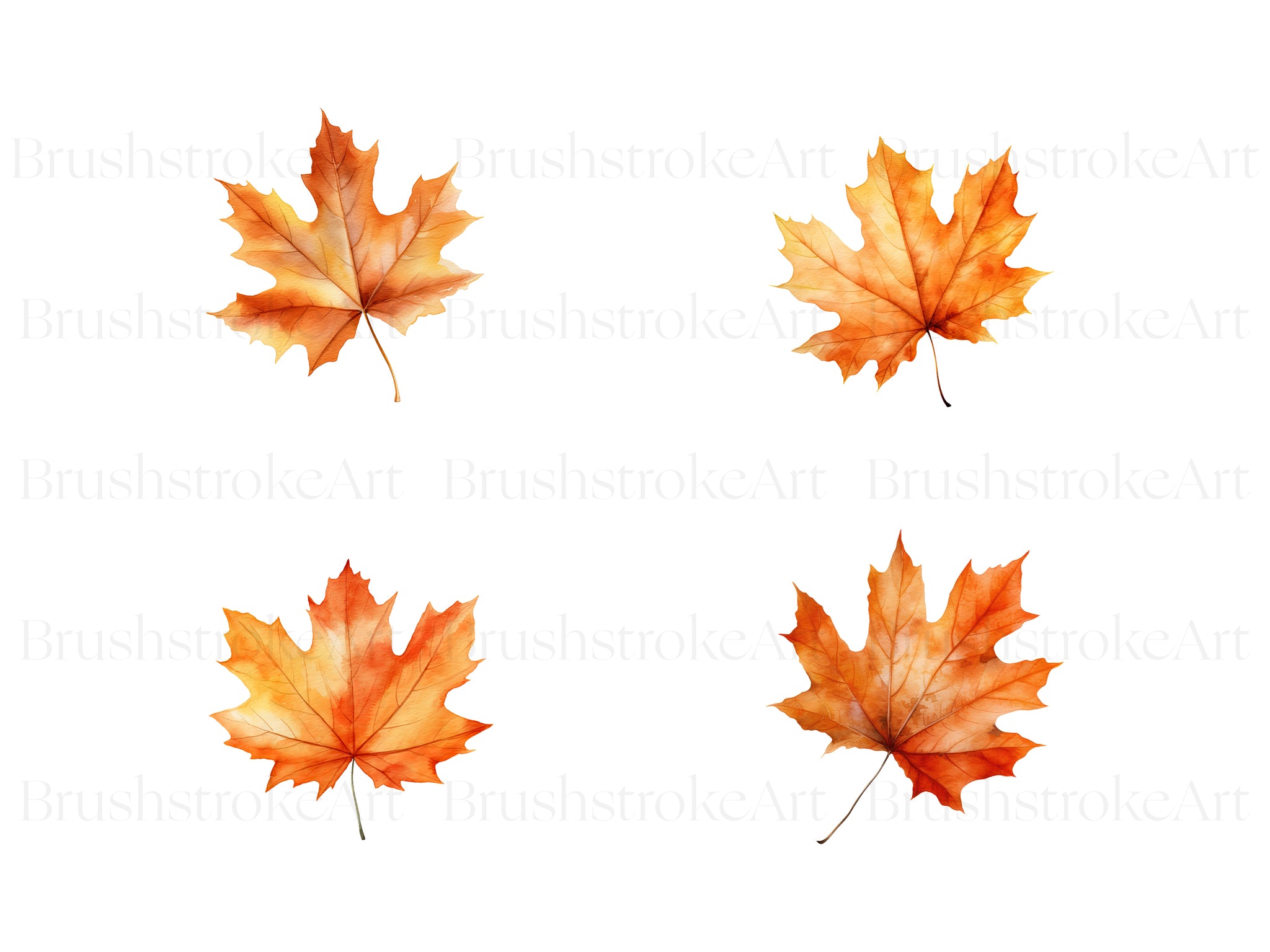 Watercolor Autumn Clipart, Fall Leaves, Pumpkin, Autumn PNG – Clipartset
