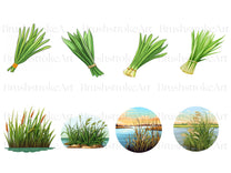 Grass Clipart, Nature, Green Grass PNG, Tufts of Grass PNG – Clipartset