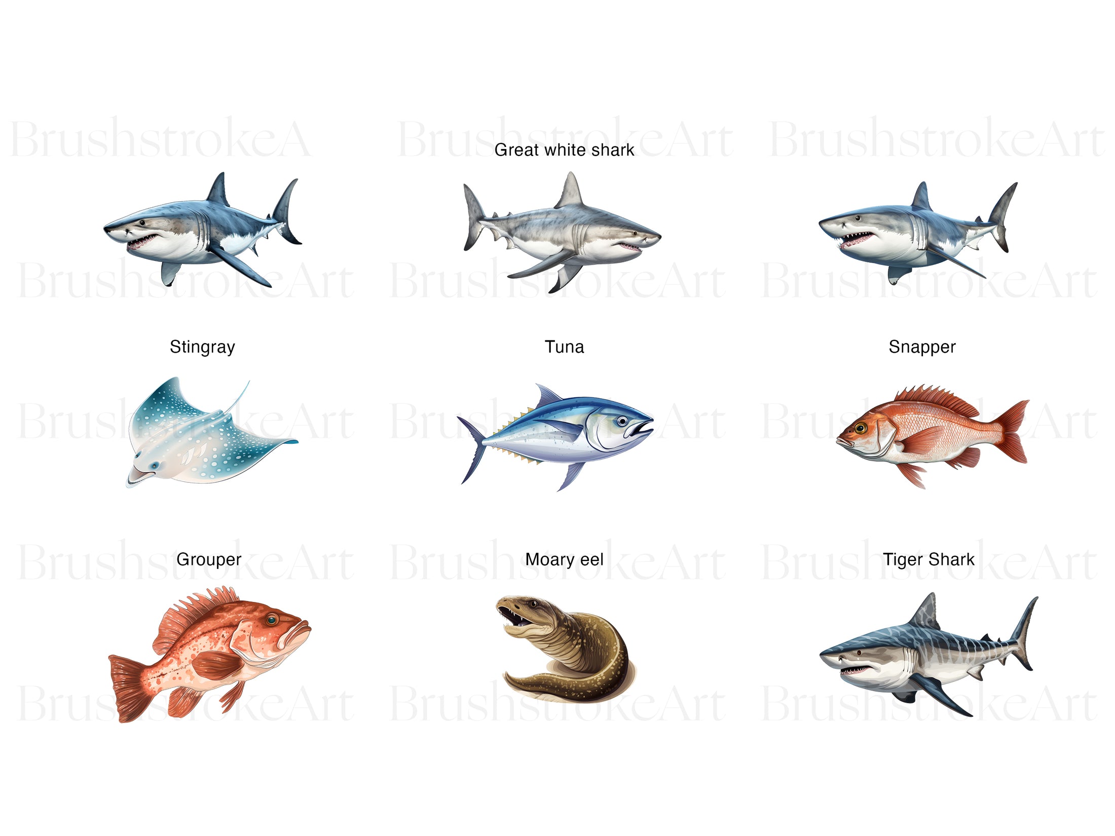 Saltwater Fish Clipart, Great White Shark, Tuna, Fish PNG – Clipartset