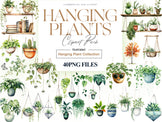 Watercolor Hanging Plants Clipart|| Flowers| House Plant PNG| Plant Il ...