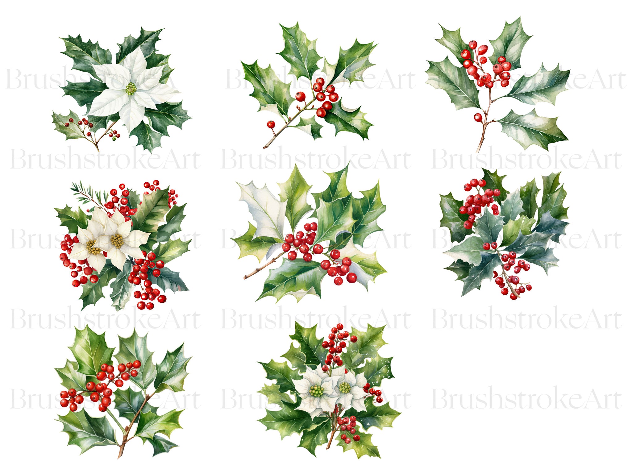 Holly Flower Clipart, Christmas Floral, Birth Month Flower – Clipartset