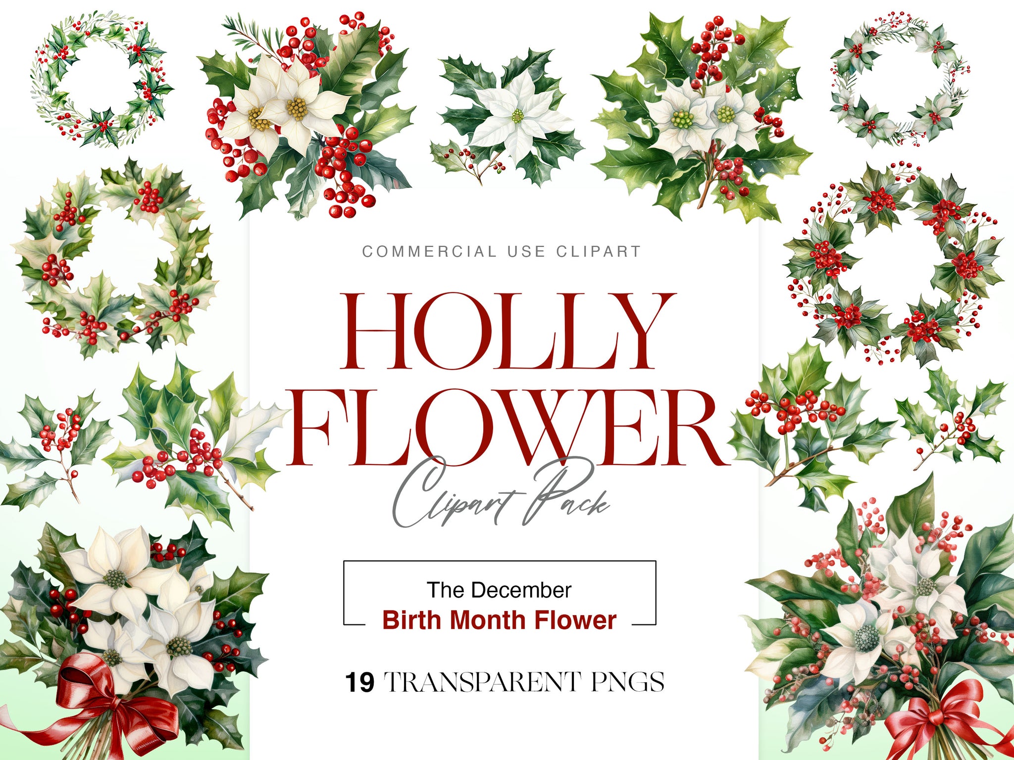 Holly Flower Clipart, Christmas Floral, Birth Month Flower – Clipartset