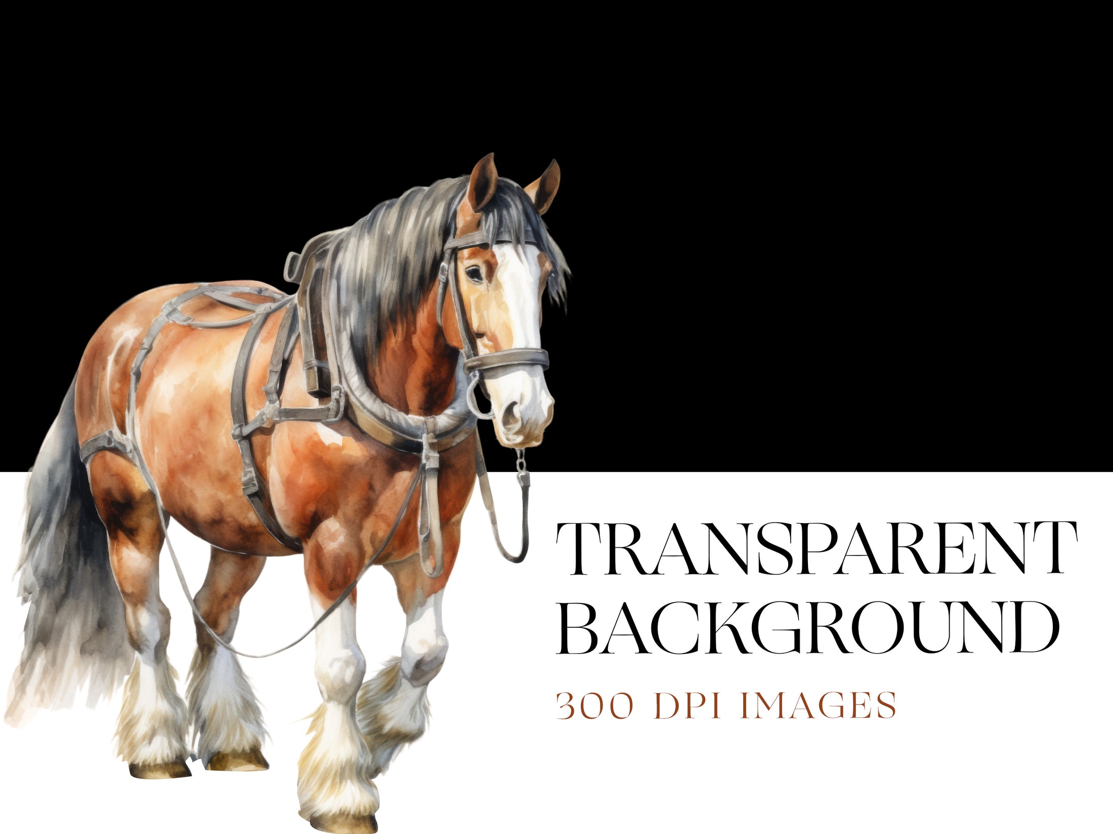 Draft Horse Clipart, Clydesdale Horse, Belgian Draft Horse – Clipartset