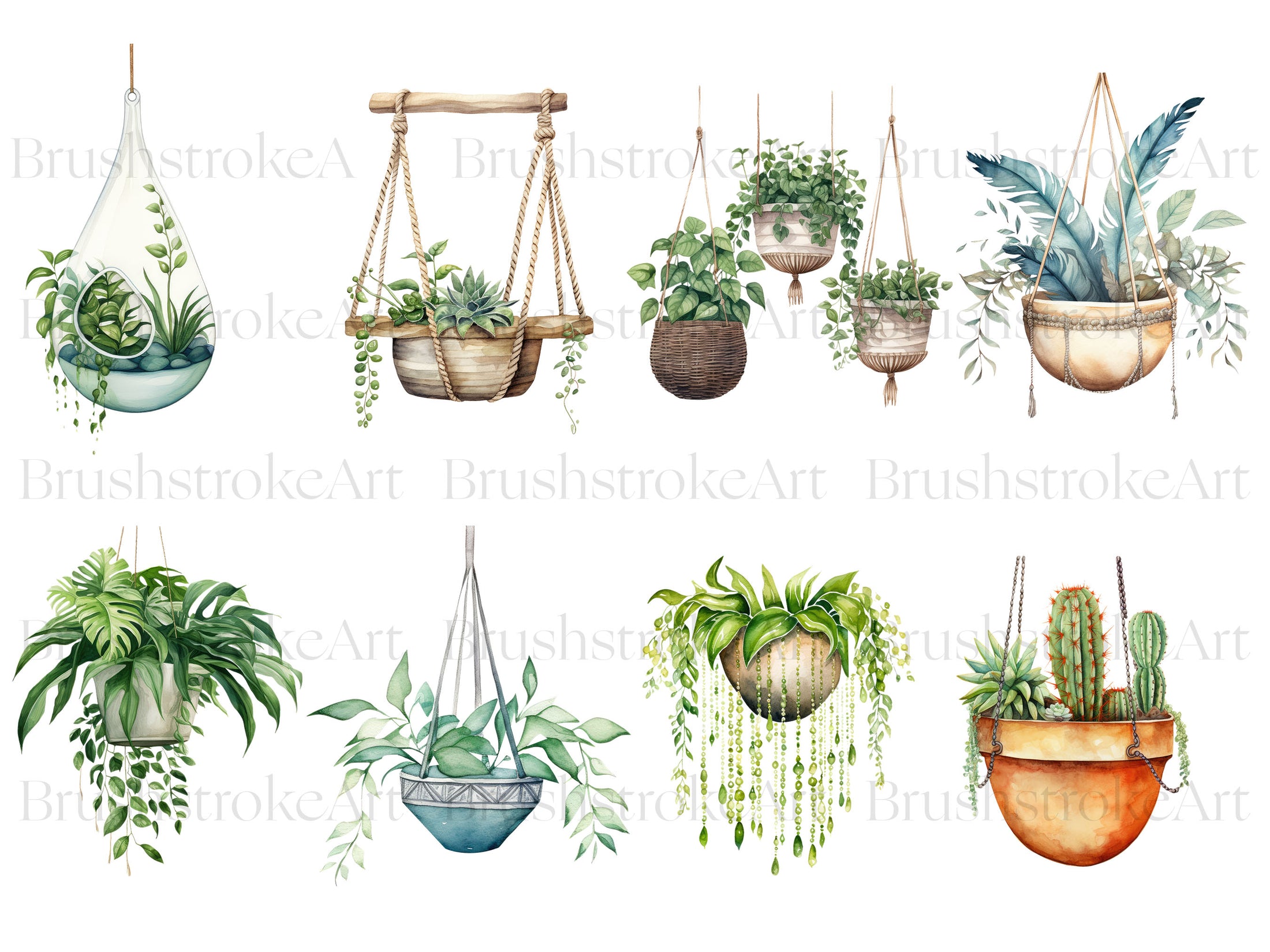 Watercolor Hanging Plants Clipart|| Flowers| House Plant PNG| Plant Il ...