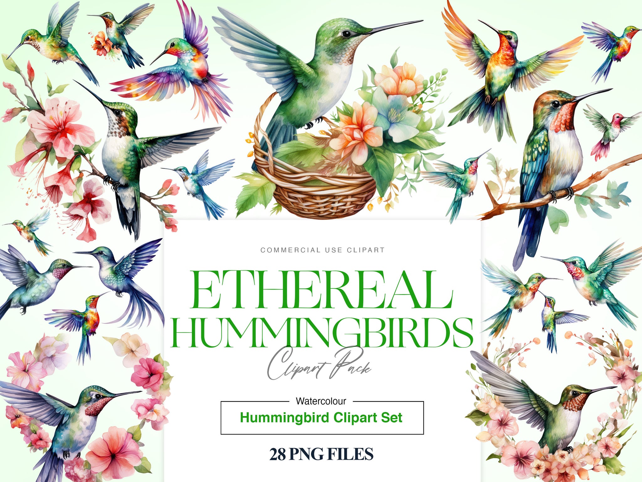 Watercolor Hummingbird Clipart| Tropical Spring Bird| Floral Bird PNG ...