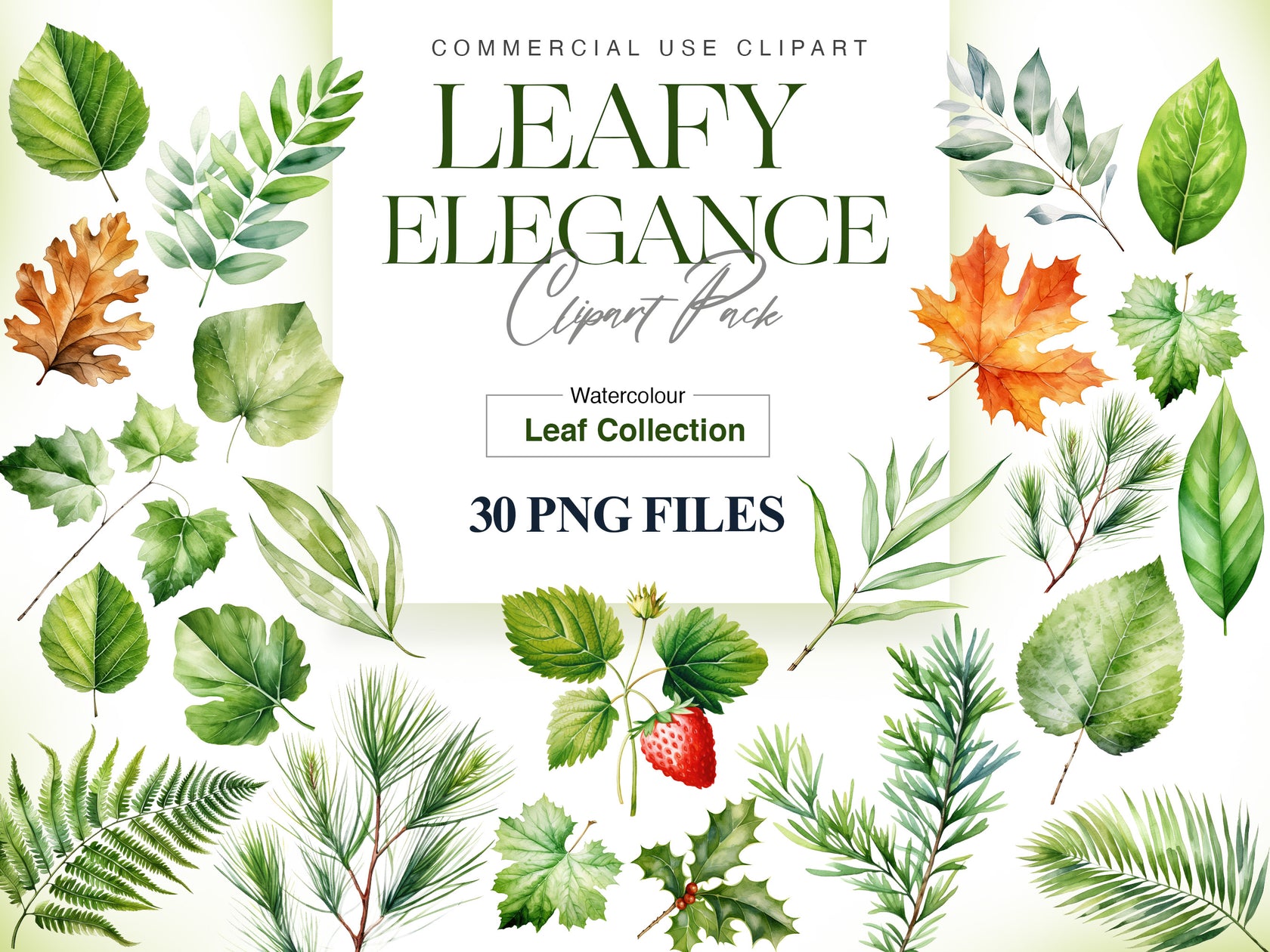 Watercolor Leaves Clip Art, Botanical Leaves, Green Leaves PNG – Clipartset