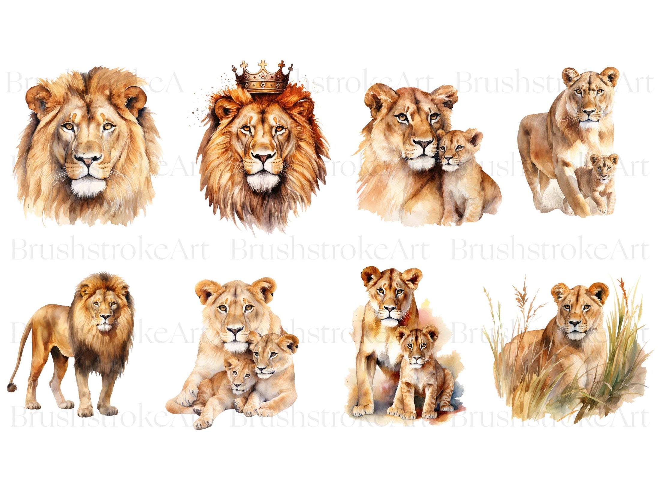 Watercolor Lion Clipart, African Lion PNG, Cute Lion Cub – Clipartset