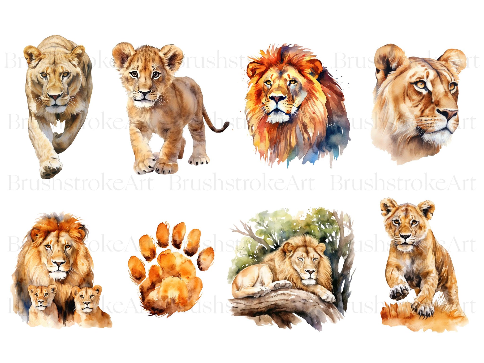 Watercolor Lion Clipart, African Lion PNG, Cute Lion Cub – Clipartset