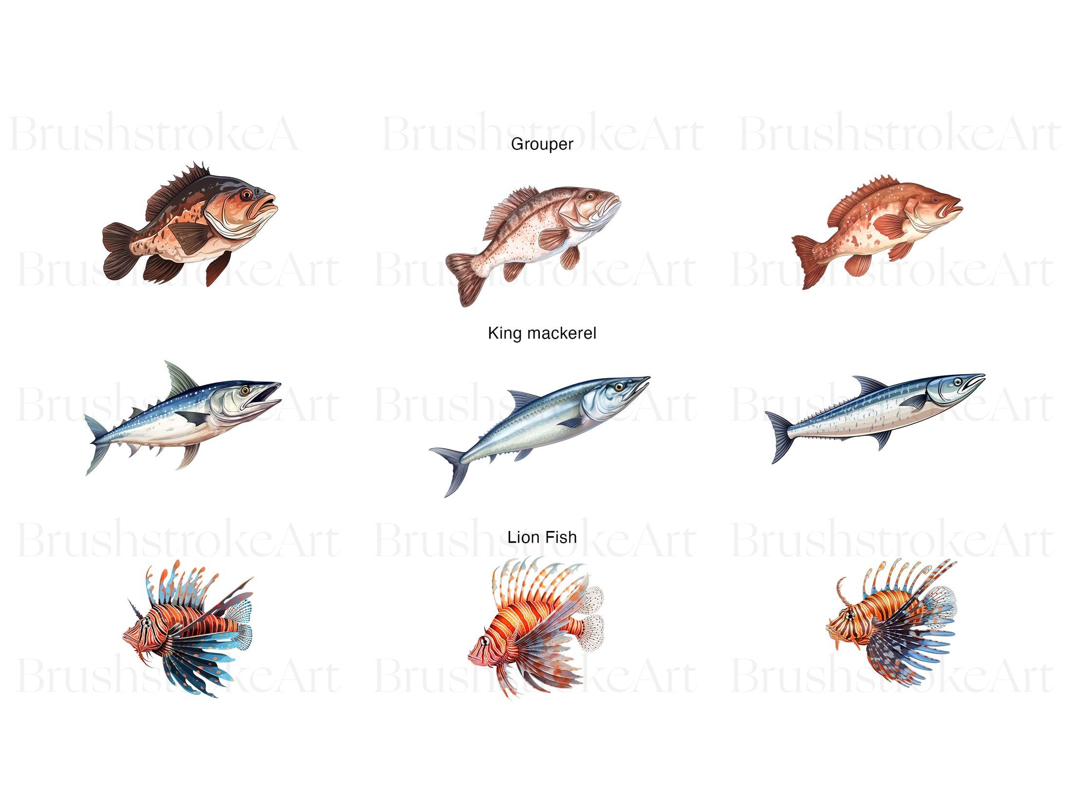 Saltwater Fish Clipart, Great White Shark, Tuna, Fish PNG – Clipartset