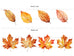 Fall Leaves Clipart, Oak Leaves, Autumn, Maple Leaf PNG – Clipartset