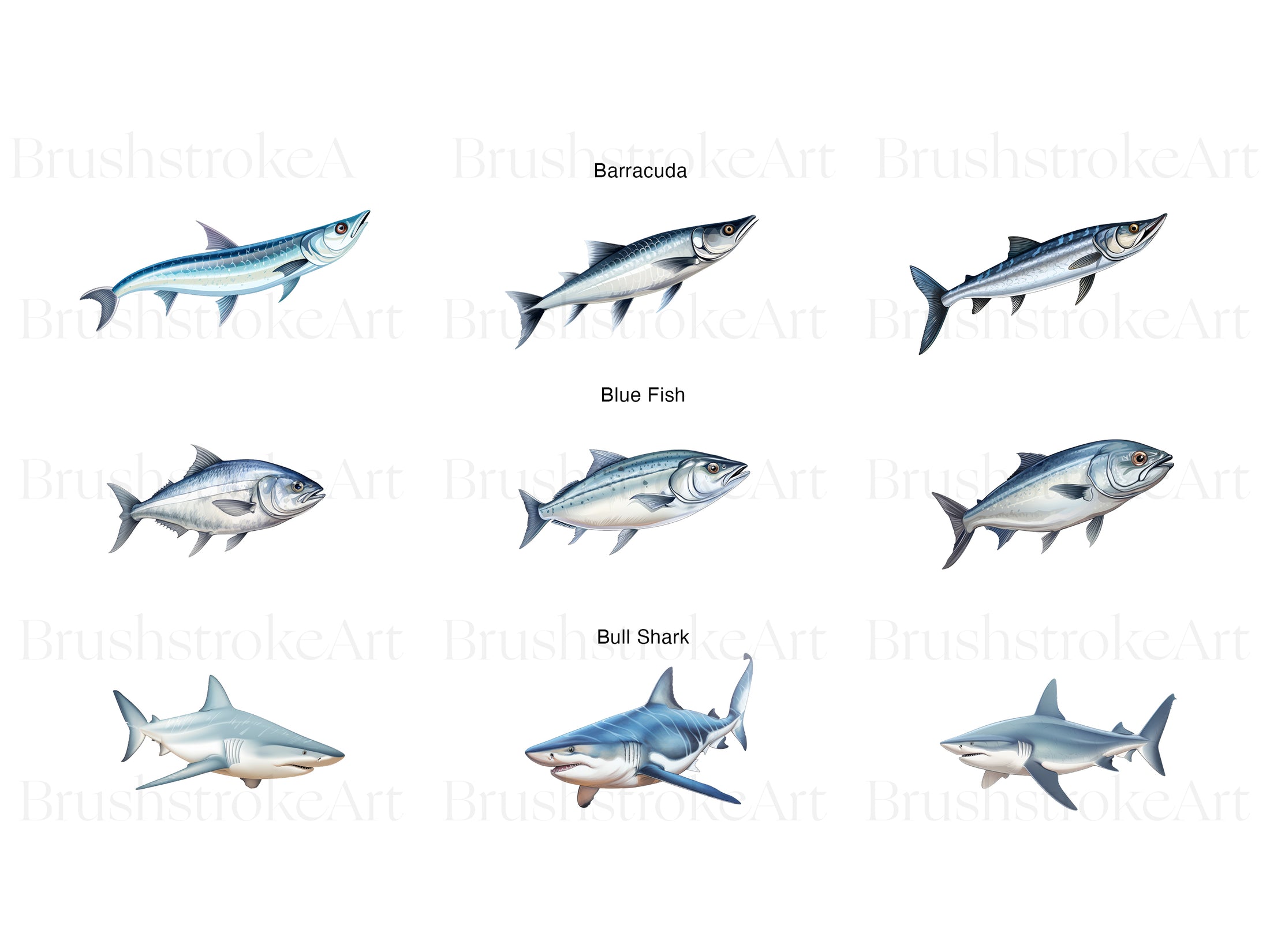 Saltwater Fish Clipart, Great White Shark, Tuna, Fish PNG – Clipartset
