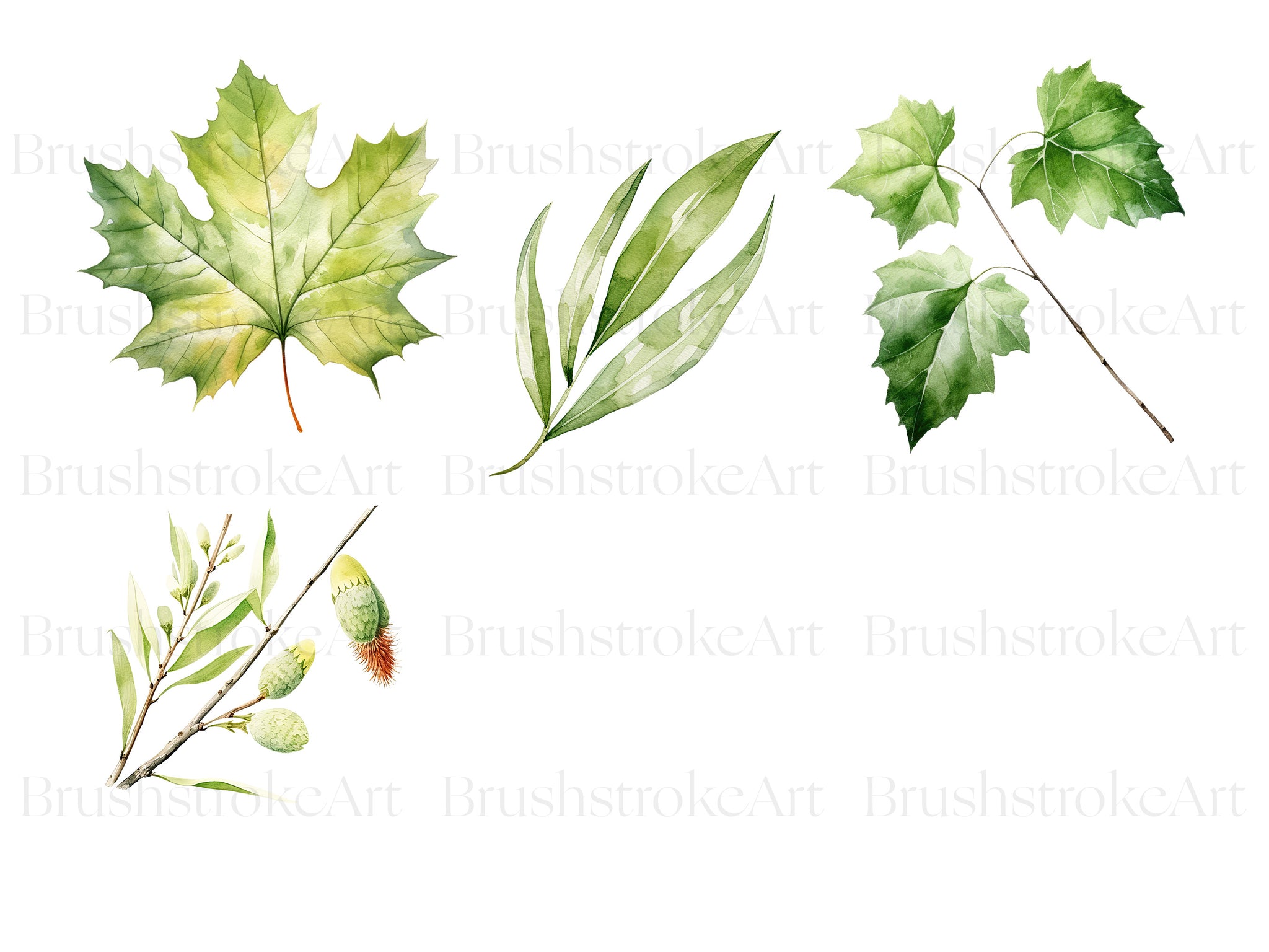 Watercolor Leaves Clip Art, Botanical Leaves, Green Leaves PNG – Clipartset