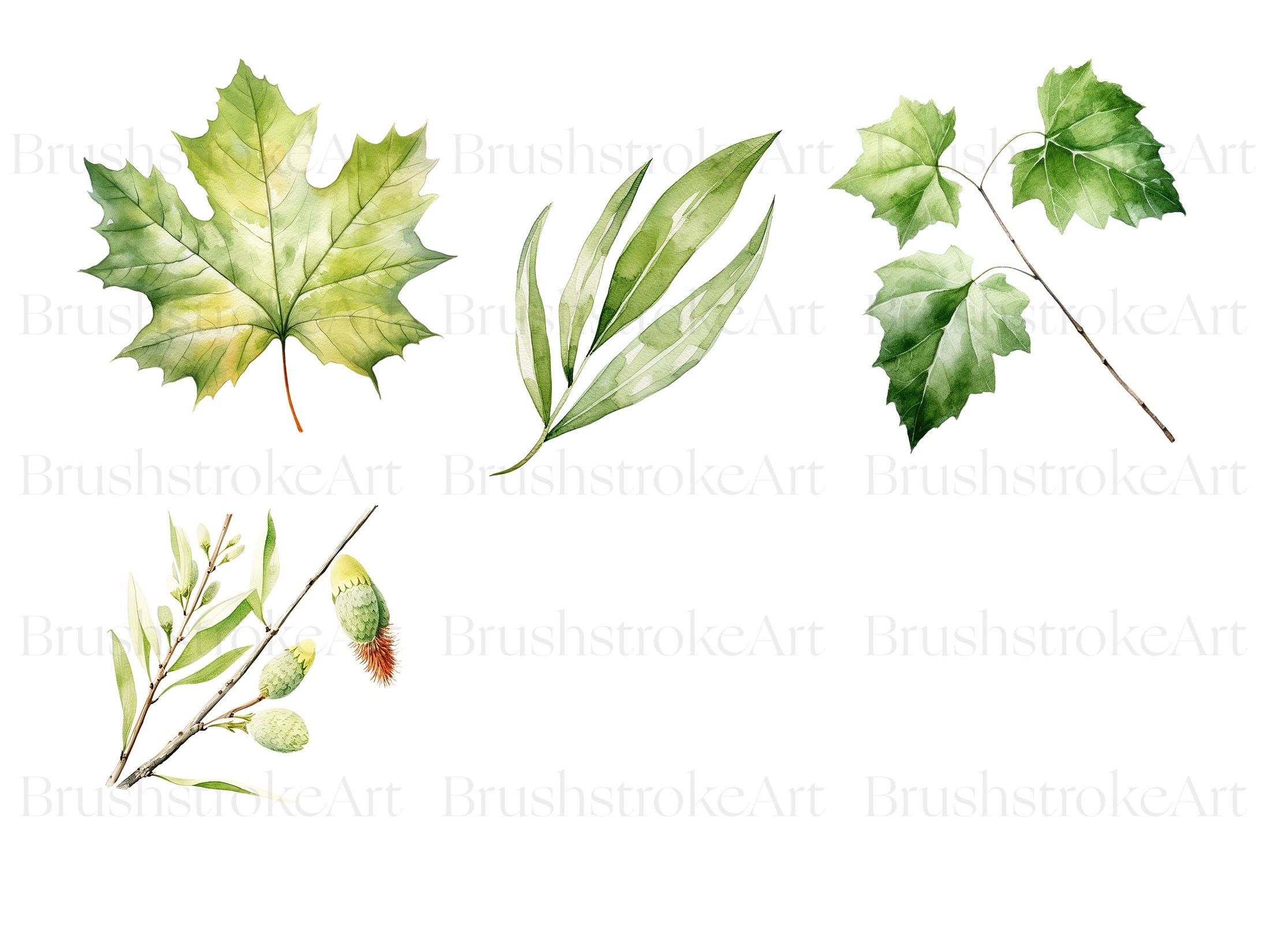 Watercolor Leaves Clip Art, Botanical Leaves, Green Leaves PNG – Clipartset