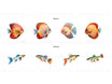 Tropical Fish Clipart, Guppies, Betta Fish, Pet Fish PNG – Clipartset