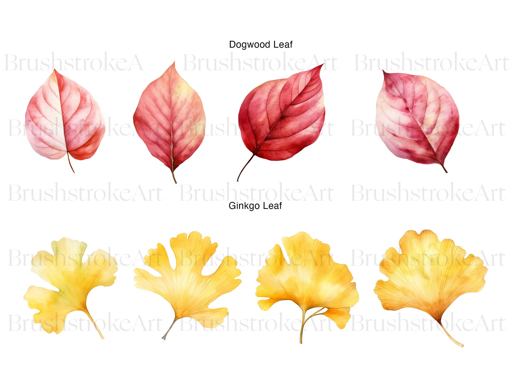 Fall Leaves Clipart, Oak Leaves, Autumn, Maple Leaf PNG – Clipartset