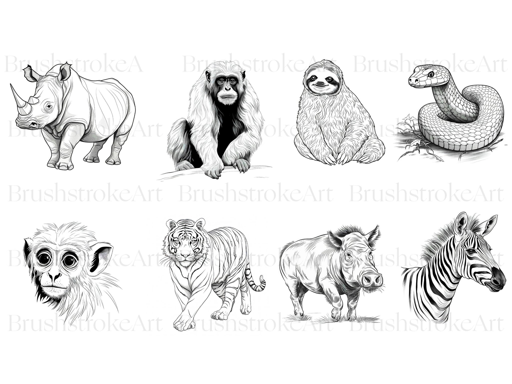 45 Safari Animals Clipart, Snake, Animal PNG, Lion, Safari Jeep ...