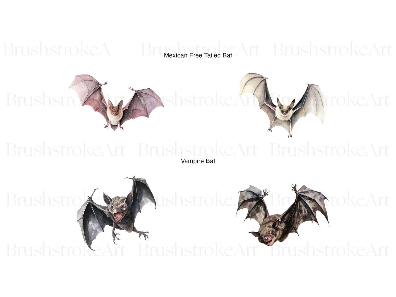 Watercolor Bat Clipart, Halloween Bat PNG, Bat Illustration – Clipartset