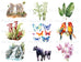Tropical Rainforest Clipart| Tropical Animal| Wildlife| Bird – Clipartset