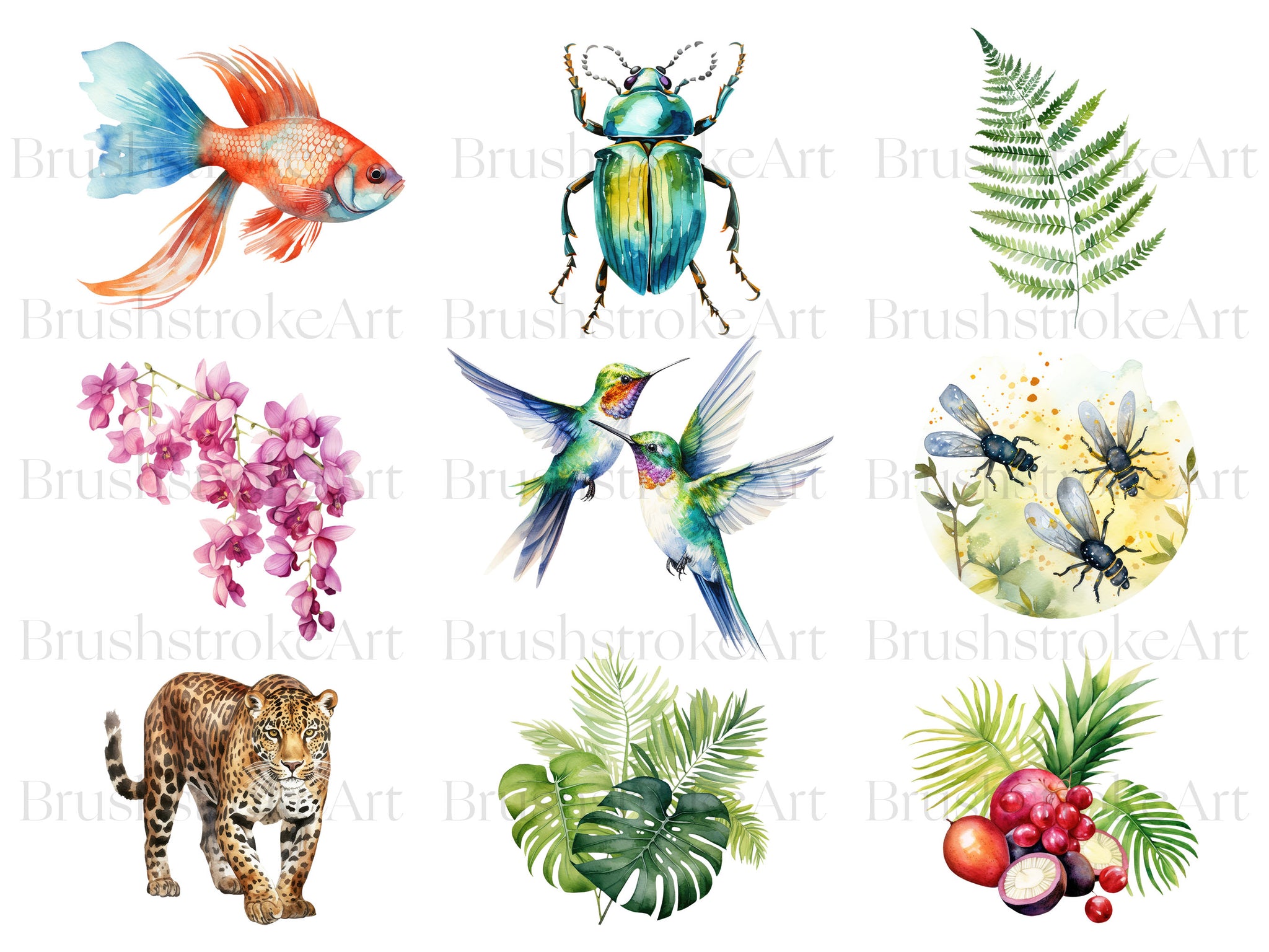 Tropical Rainforest Clipart, Tropical Animal, Wildlife, Bird – Clipartset