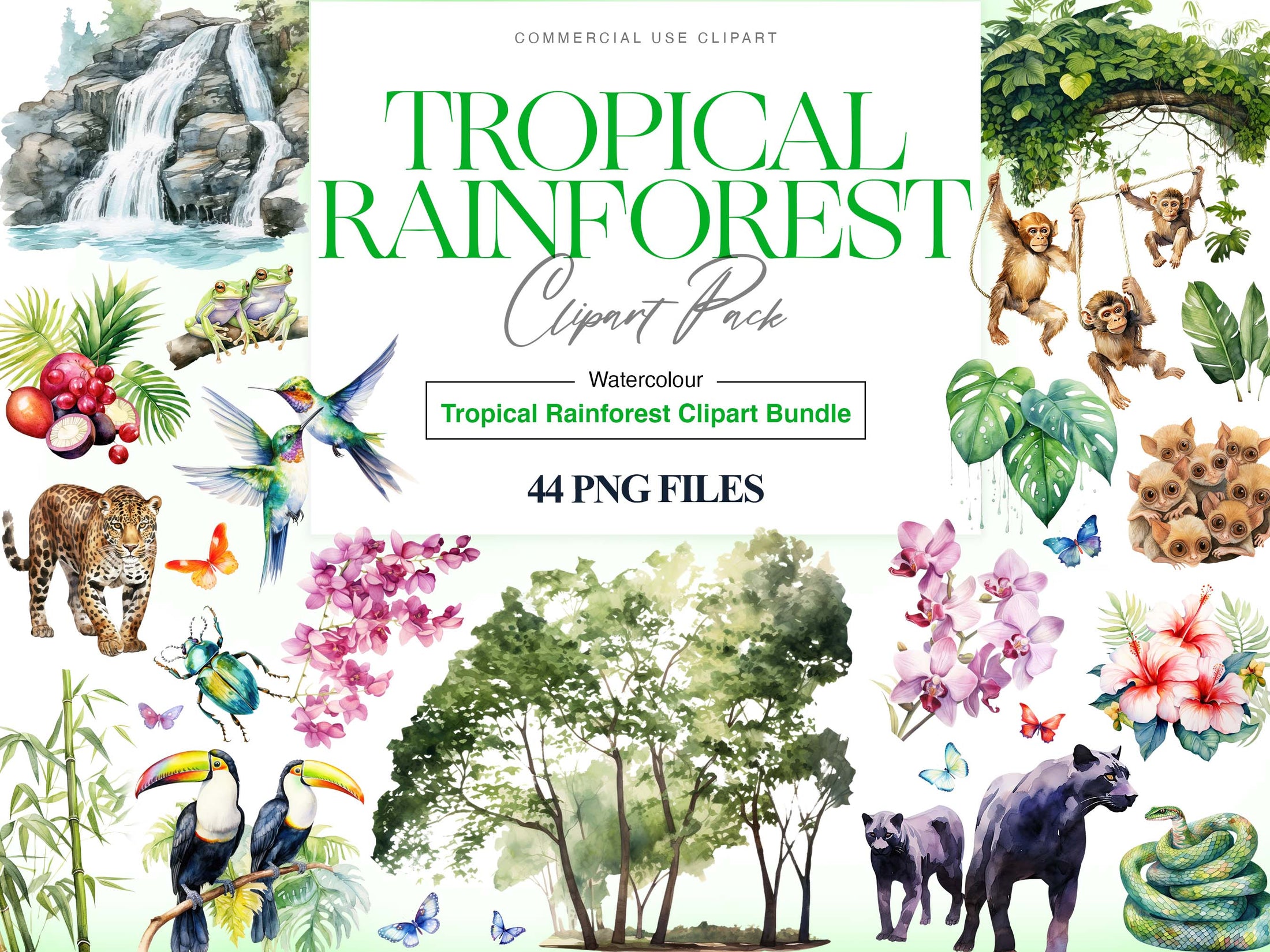 Tropical Rainforest Clipart| Tropical Animal| Wildlife| Bird – Clipartset