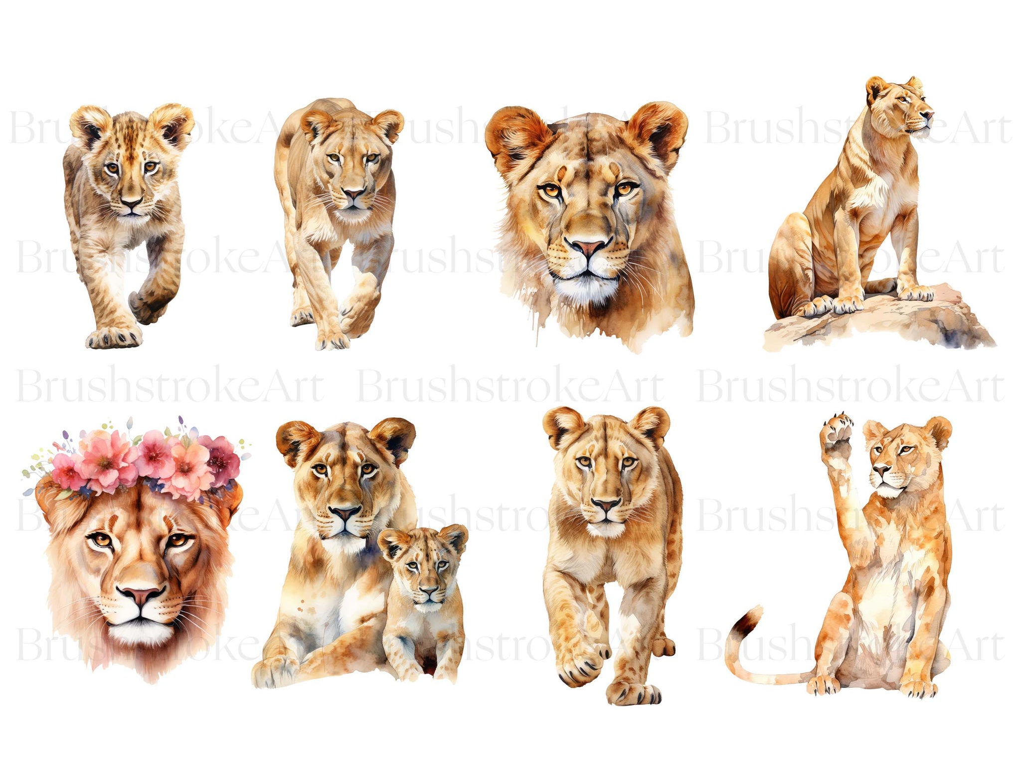 Watercolor Lion Clipart, African Lion PNG, Cute Lion Cub – Clipartset
