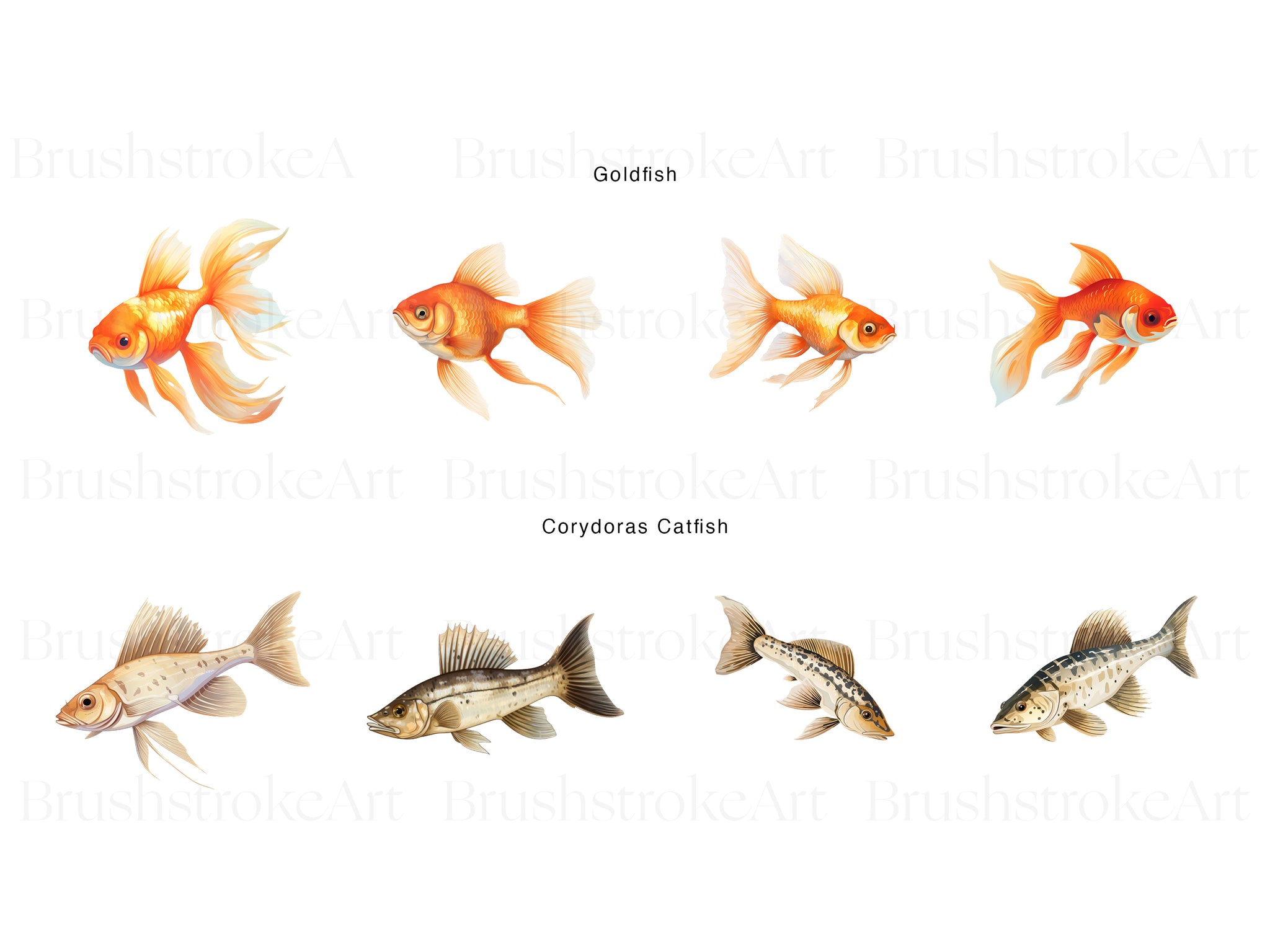Freshwater Fish Clipart, Koi Fish Pond, Carp Fish Printable – Clipartset