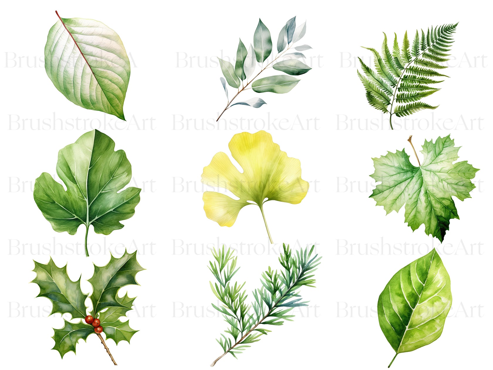 Watercolor Leaves Clip Art, Botanical Leaves, Green Leaves PNG – Clipartset