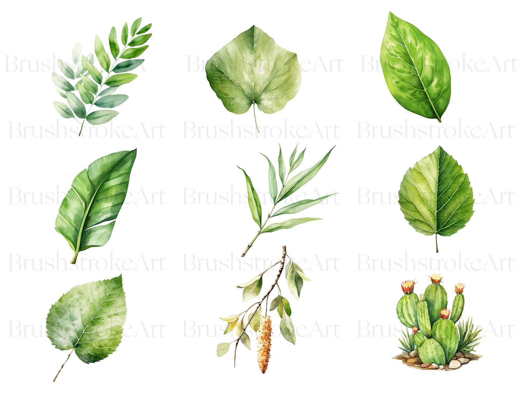 Watercolor Leaves Clip Art, Botanical Leaves, Green Leaves PNG – Clipartset