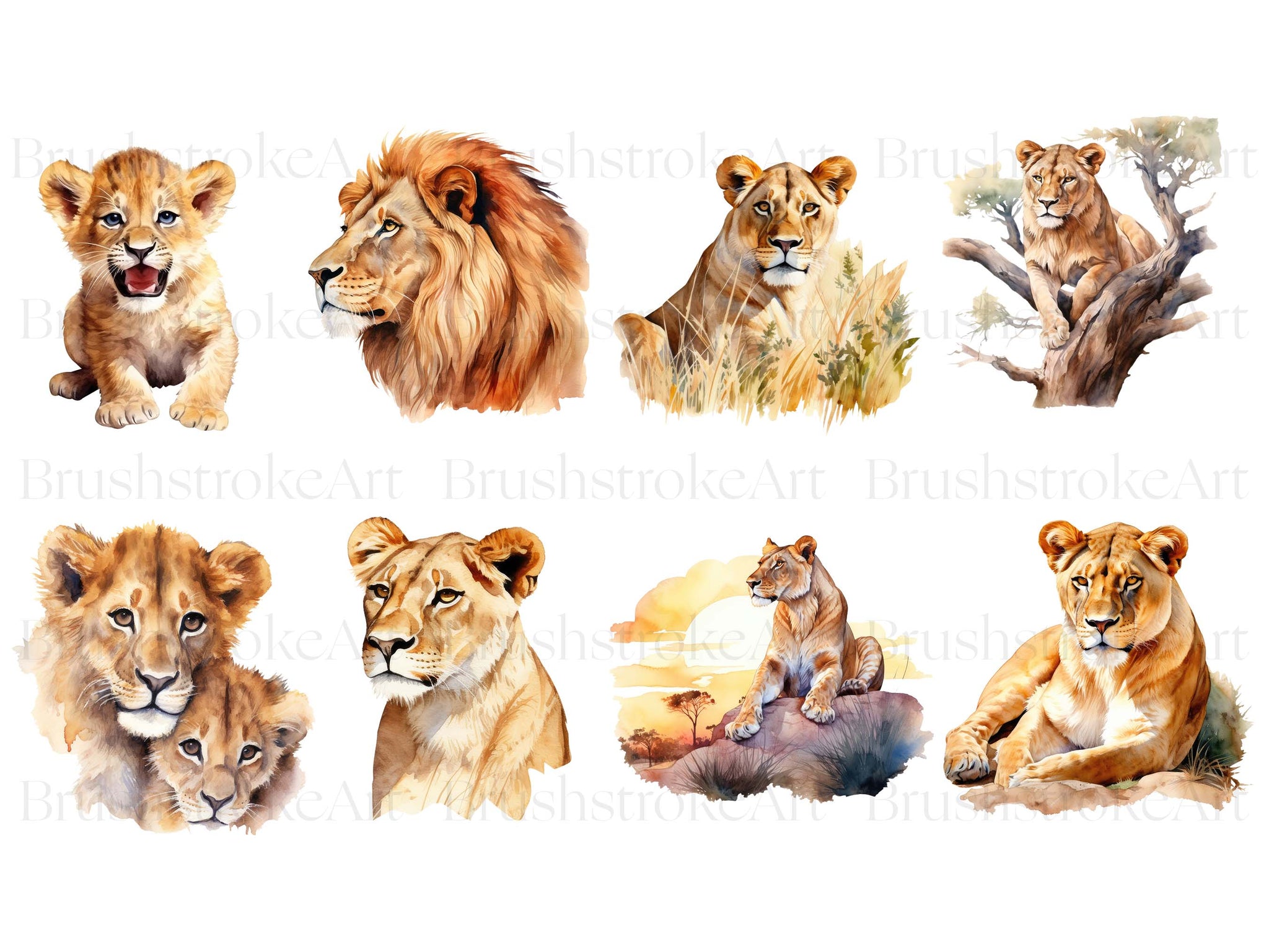 Watercolor Lion Clipart, African Lion PNG, Cute Lion Cub – Clipartset