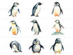 Watercolor Penguin Clipart, Baby Penguin PNG, Arctic Penguin – Clipartset