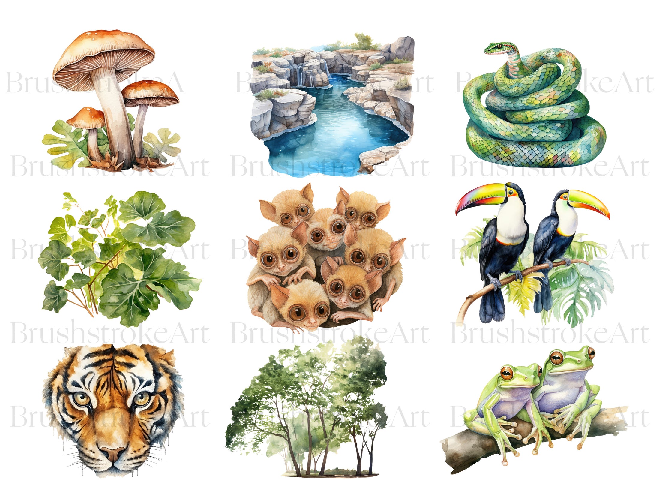 Tropical Rainforest Clipart| Tropical Animal| Wildlife| Bird – Clipartset