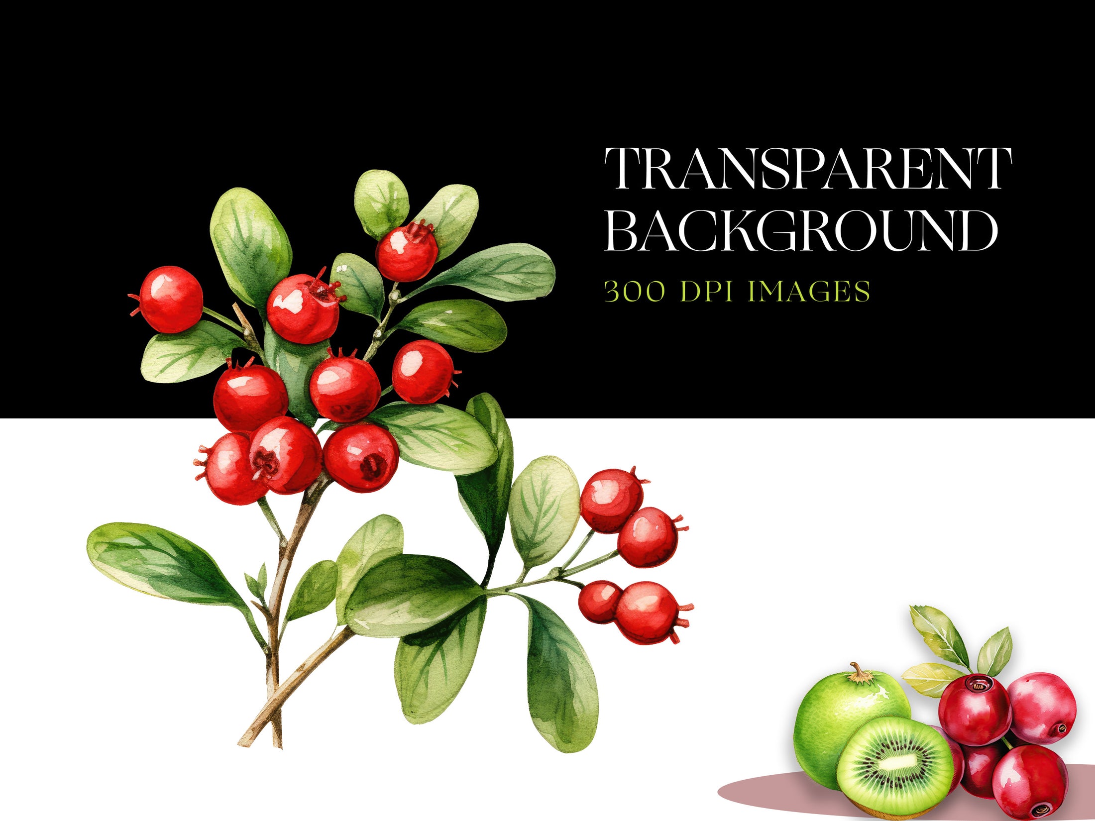 Watercolor Berries Clipart, Strawberry, Raspberry, Berry PNG – Clipartset