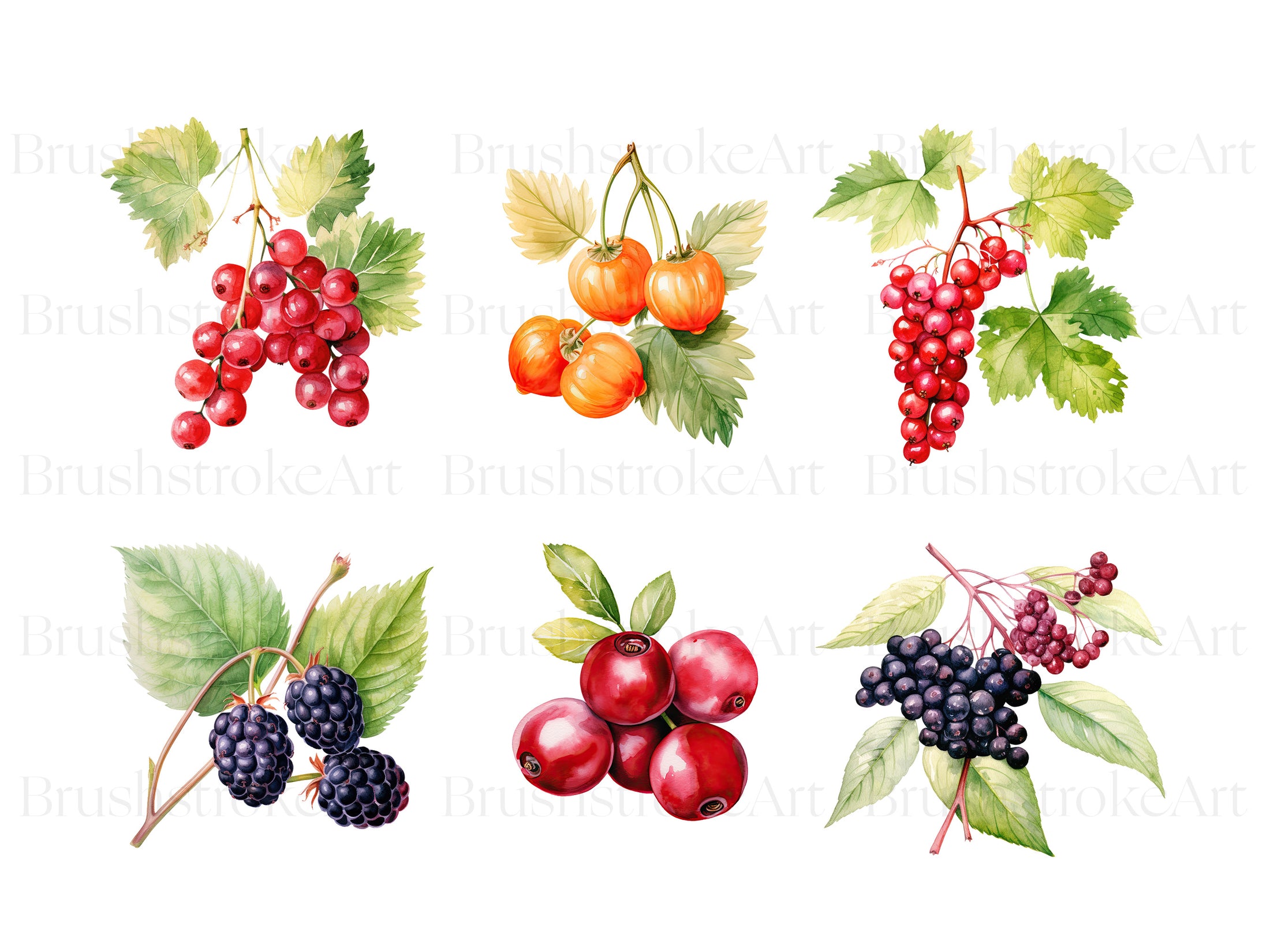 Watercolor Berries Clipart, Strawberry, Raspberry, Berry PNG – Clipartset