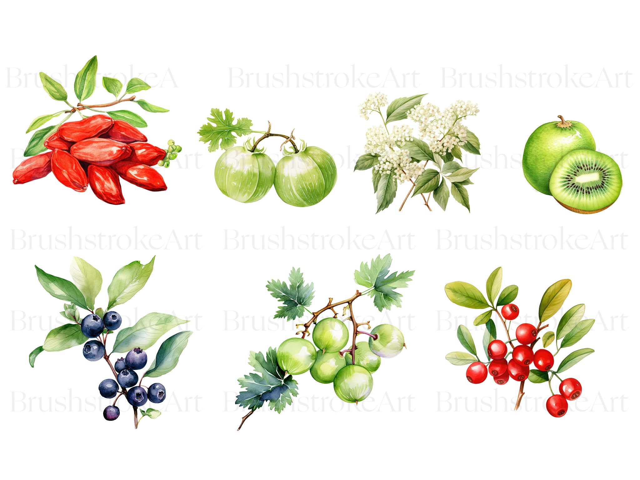 Watercolor Berries Clipart, Strawberry, Raspberry, Berry PNG – Clipartset