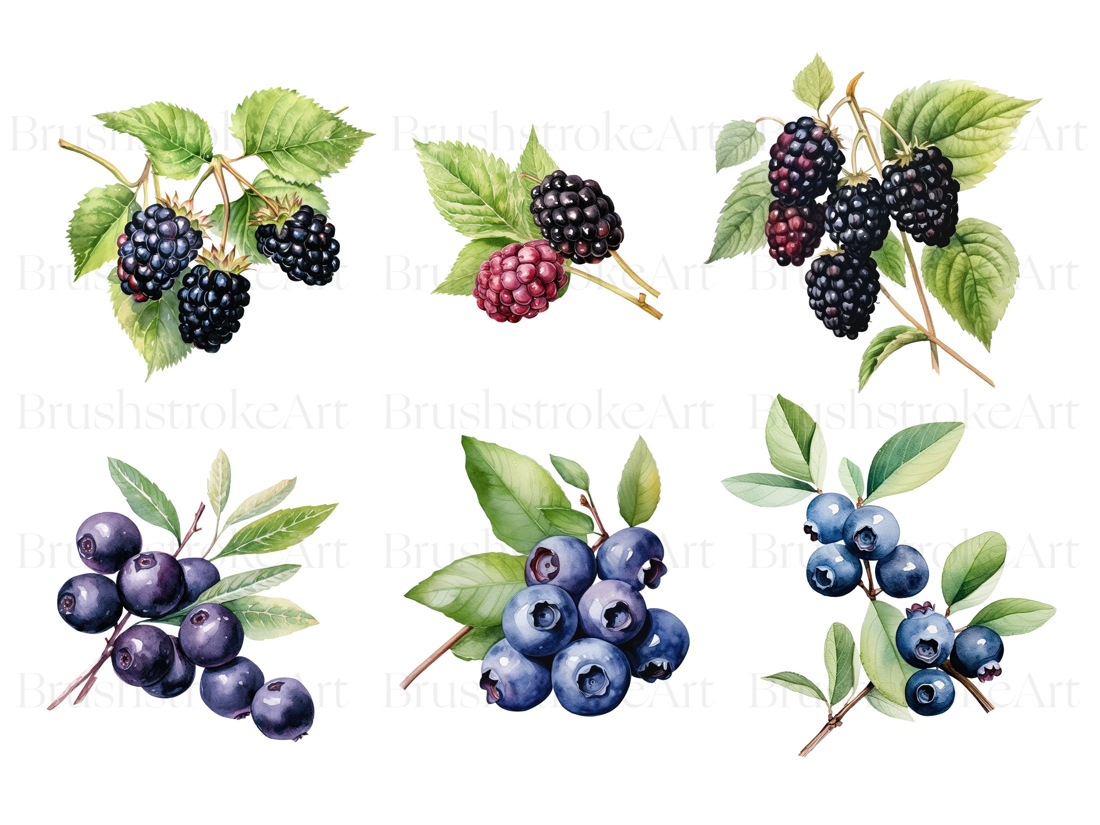 Watercolor Berries Clipart, Strawberry, Raspberry, Berry PNG – Clipartset